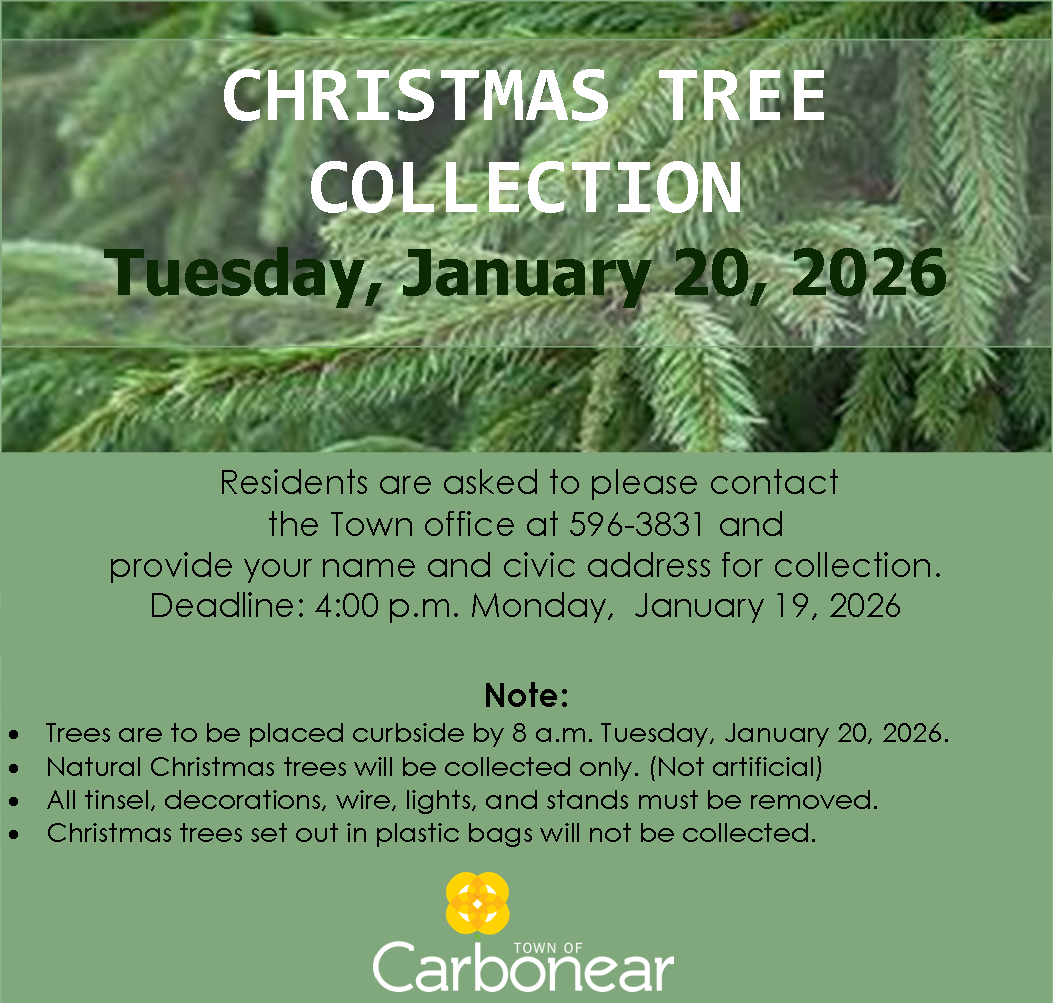 Annual Christmas Tree Collection and Branch Collection Information ...